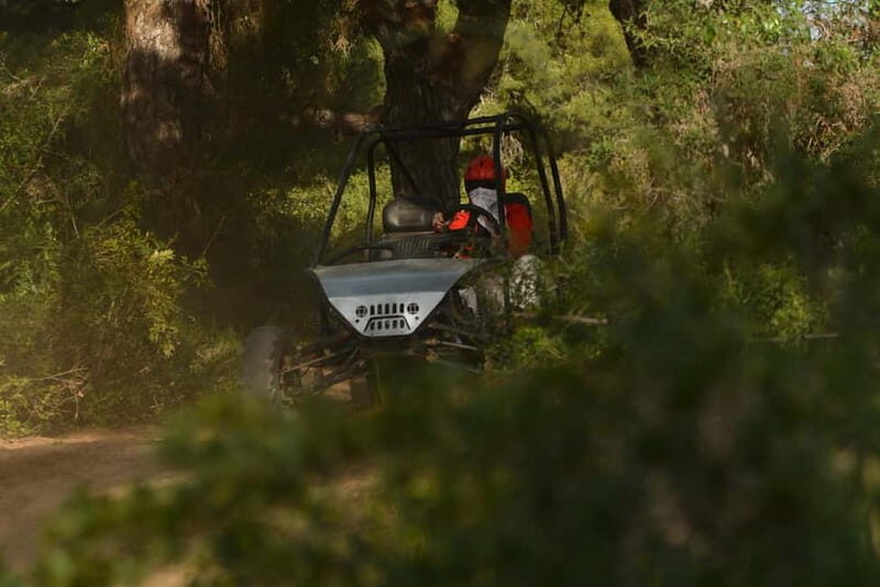 From Antalya: Desert Buggy Safari Near the City Center - The Realities: What You Should Know
