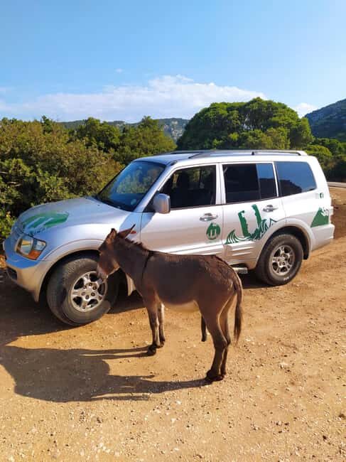 From Arbatax: 4hour jeep tour of the Golgo Plateau in Baunei - Discovering Sardinia’s Unique Landscape on a 4-Hour Jeep Tour