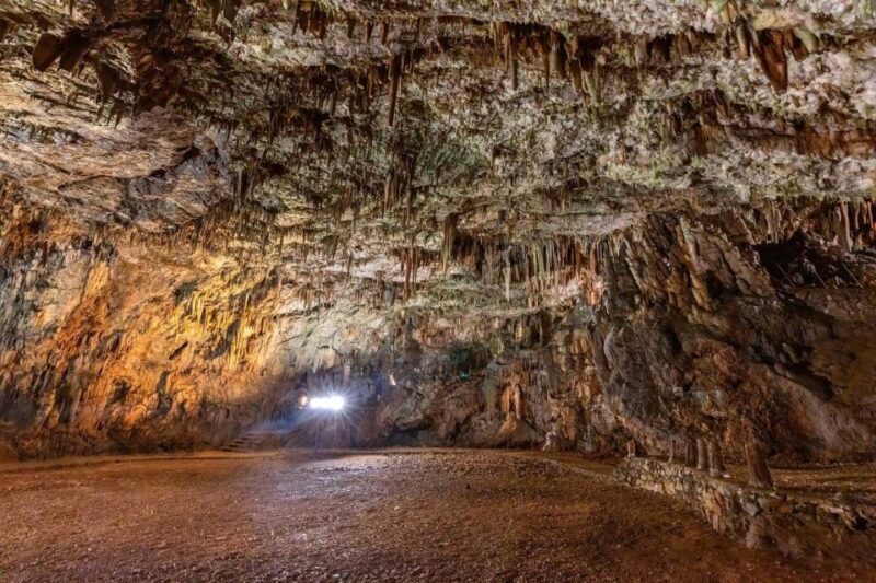 From Argostoli: Melissani & Drogarati Cave Shore Excursion - An In-Depth Look at the Tour Experience