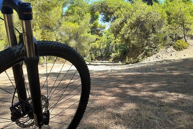 From Athens: Aegina Island E-bike & Walking Day Tour - Who Is This Tour Best For?