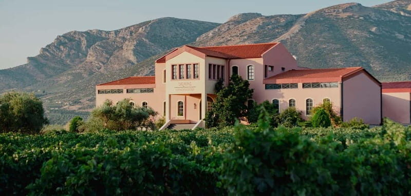 From Athens: Ancient Sparta and Nemea Wine Country Day Trip - Final Thoughts