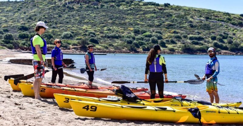 From Athens: Cape Sounion Guided Kayaking Tour with Lunch - Who Will Love This Experience?