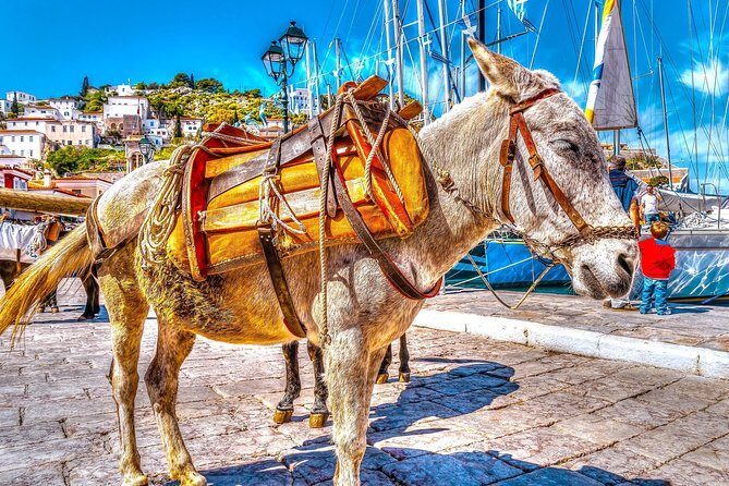 From Athens: Hydra, Poros, and Aegina Day Cruise with Lunch - The Value for Your Money