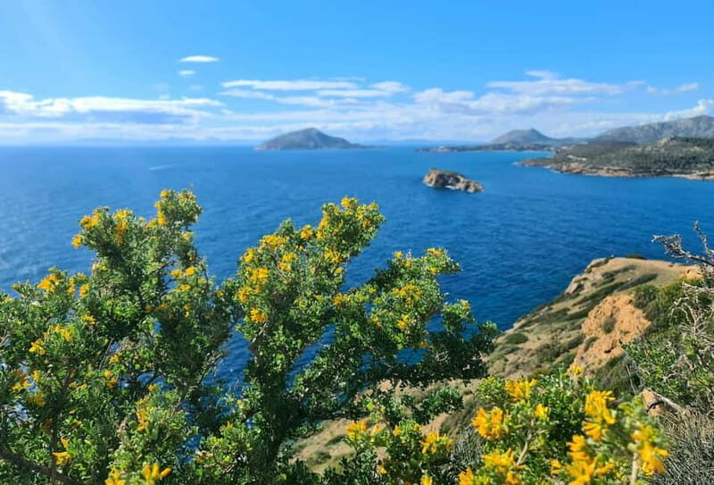 From Athens: Temple of Poseidon & Cape Sounion Half-Day Tour - What Makes This Tour Stand Out