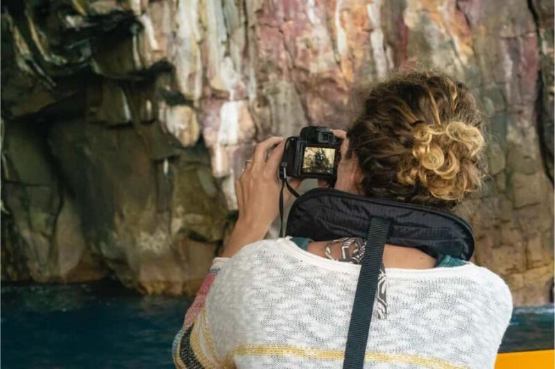 From Auckland: ALDERMAN ISLANDS (Ruamaahu) Day Trip - Suitability and Considerations