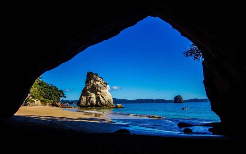 From Auckland: Cathedral Cove & Hot Water Beach Tour - What the Reviews Say: Authentic Feedback