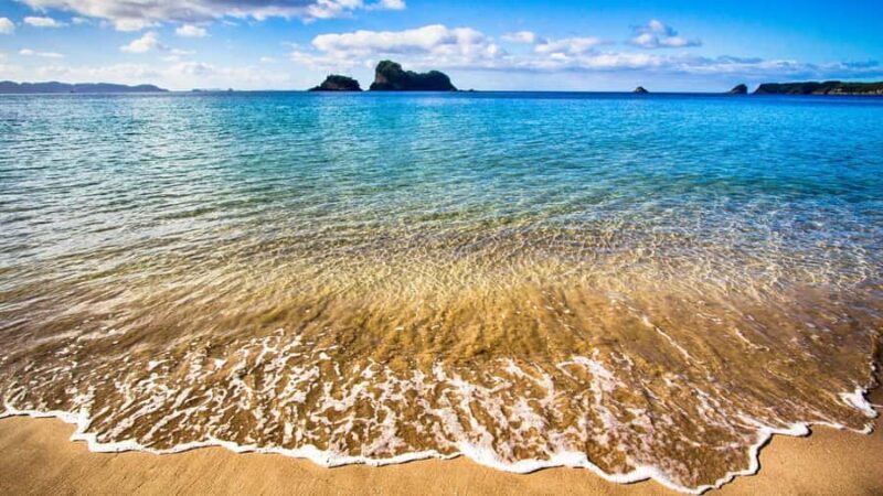 From Auckland: Cathedral Cove & Hot Water Beach Tour - Who Will Love This Tour?