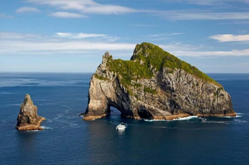 From Auckland: Full Day Private Tour to the Bay of Islands - The Return Journey and Scenic Drive Back to Auckland