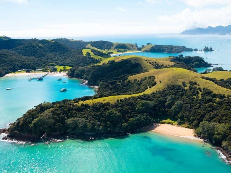 From Auckland: Full Day Private Tour to the Bay of Islands - Who Will Love This Tour?