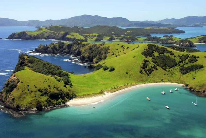 From Auckland: Full-Day Tour to the Bay of Islands - The Journey Begins: From Auckland to Paihia