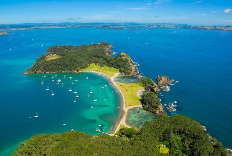 From Auckland: Full-Day Tour to the Bay of Islands - Urupukapuka Island: Relaxation and Exploration