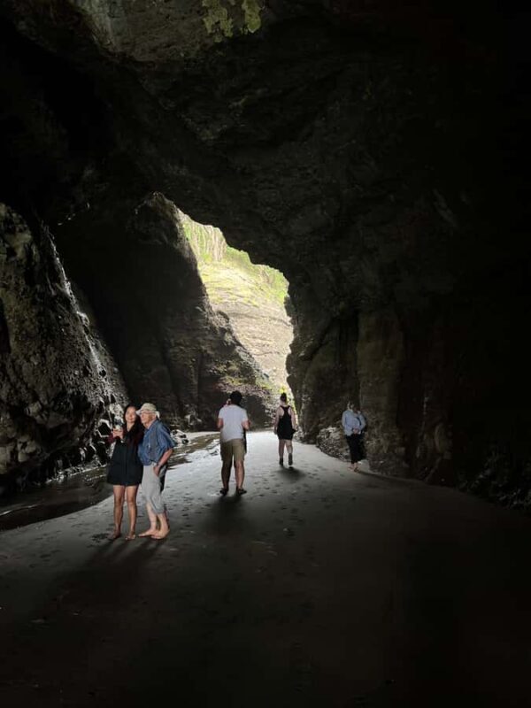 From Auckland: Guided Tour of Piha with Scenic Beach Walks - A Deep Dive into the Piha Experience