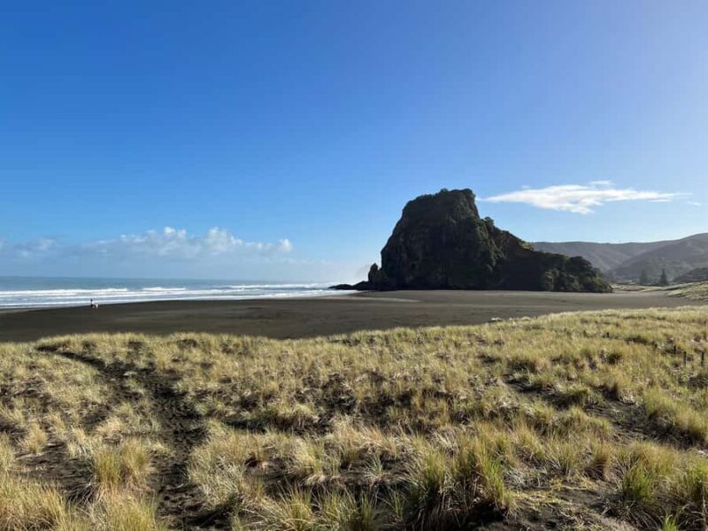 From Auckland: Guided Tour of Piha with Scenic Beach Walks - Frequently Asked Questions