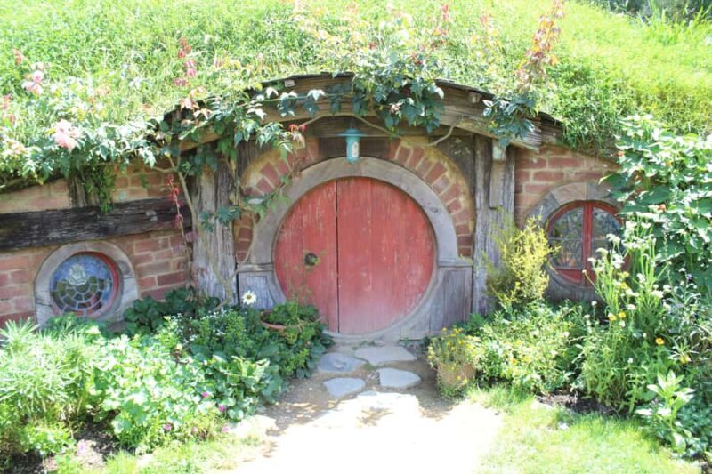 From Auckland: Hobbiton Afternoon Tour - Post-Tour: Relaxed Return to Auckland