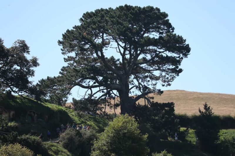 From Auckland: Hobbiton Afternoon Tour - Who Should Consider This Tour