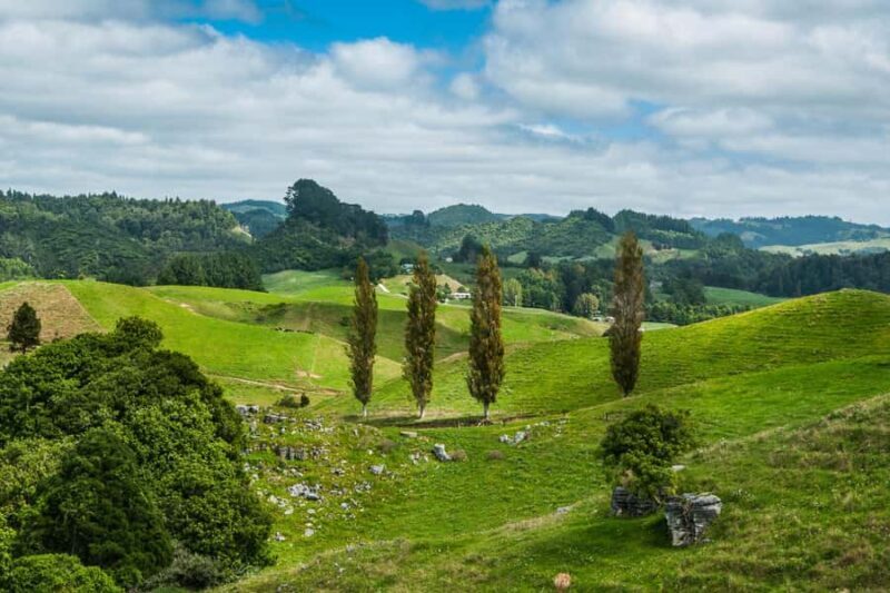 From Auckland: Hobbiton and Waitomo Day Tour with Lunch - Key Points