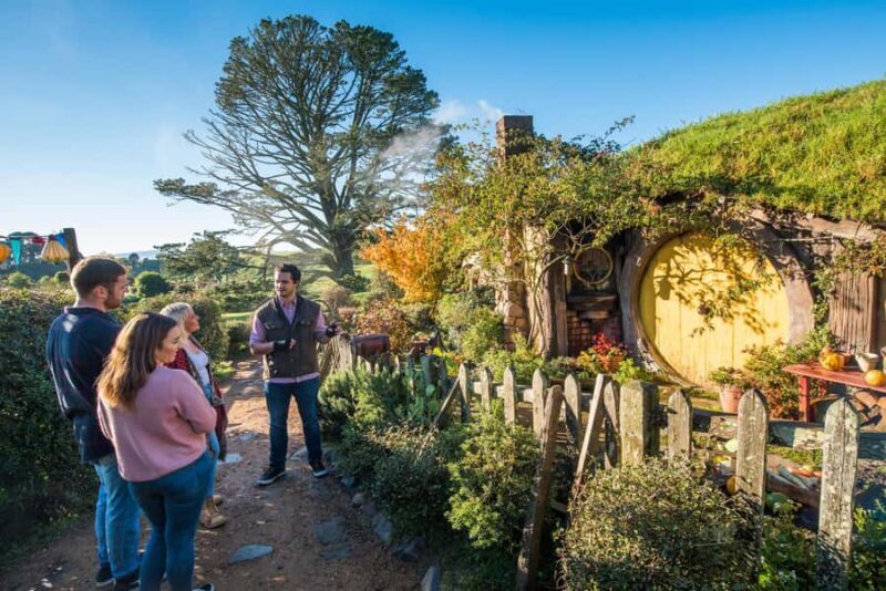 From Auckland: Hobbiton and Waitomo Day Tour with Lunch - An Authentic Look at the Itinerary: What to Expect