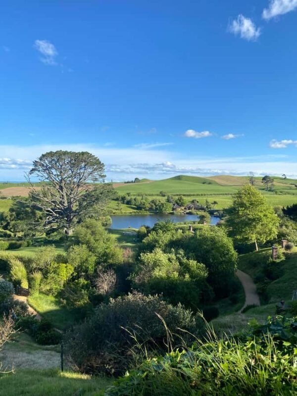 From Auckland: Hobbiton Movie Set - Private Tour - The Sum Up