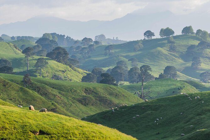 From Auckland- Hobbiton Movie Set & Te Puia Small Group Day Tour - FAQ