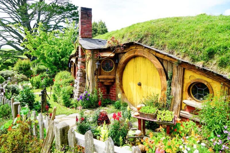 From Auckland: Hobbiton & Rotorua Tour with Lunch at Te Puia - The Itinerary Breakdown