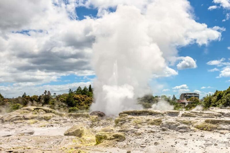 From Auckland: Hobbiton & Rotorua Tour with Lunch at Te Puia - The Sum Up
