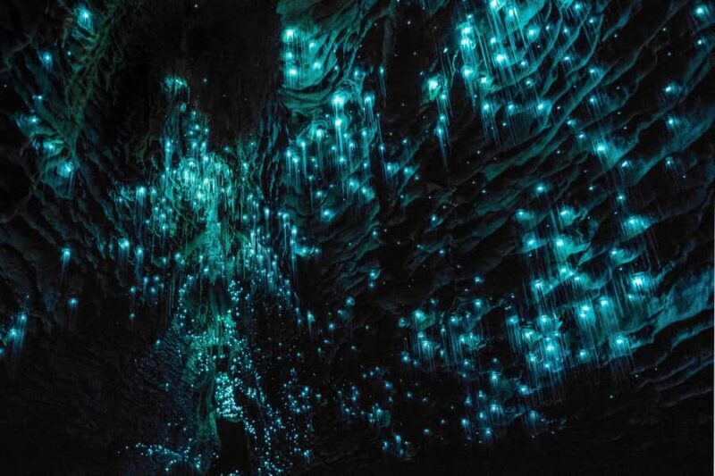 From Auckland: Hobbiton & Waitomo Caves Day Trip with Lunch - FAQ