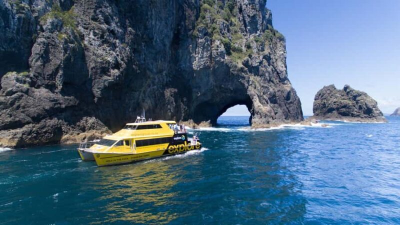 From Auckland: Hole in the rock cruise tour - Exploring the Itinerary and What You Can Expect