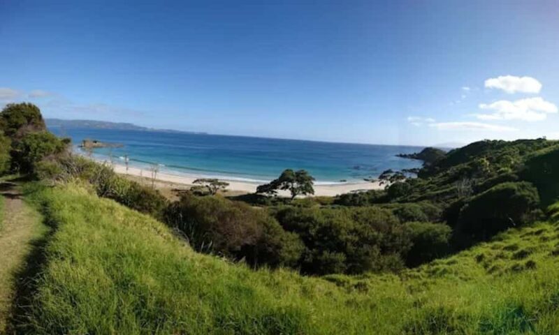 From Auckland: Kiwi Bird Encounter & 3-Course Dinner Tour - Final Thoughts: Who Should Consider This Tour?