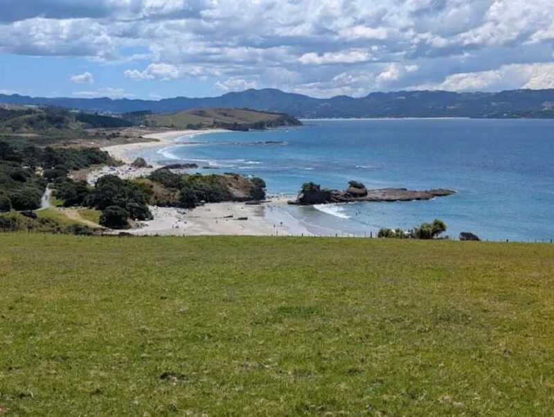 From Auckland: Kiwi Bird Encounter & 3-Course Dinner Tour - FAQ