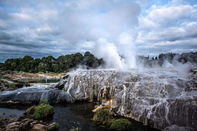 From Auckland: Rotorua Te Puia, Haka & Polynesian Spa Tour - Deep Dive into the Experience