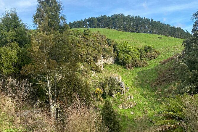 From Auckland: Spellbound, Waitomo Glowworm Cave Small Group Tour - Final Thoughts