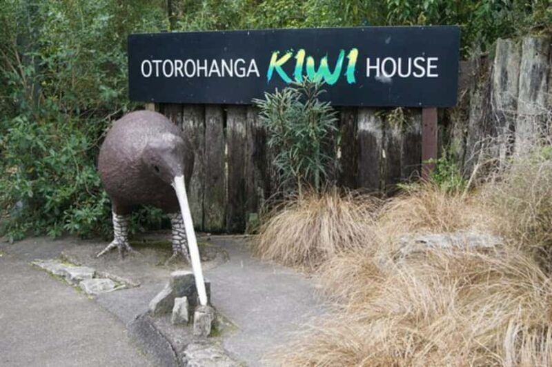 From Auckland: Waitomo Caves and Kiwi House Group Tour - The Otorohanga Kiwi House: An Up-Close Wildlife Encounter