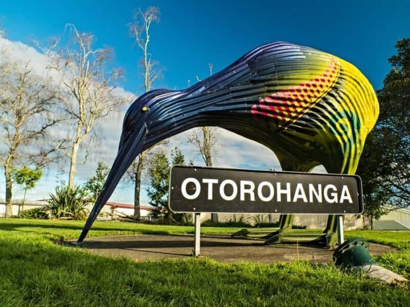 From Auckland: Waitomo Caves and Kiwi House Group Tour - The Return Journey and Reflection