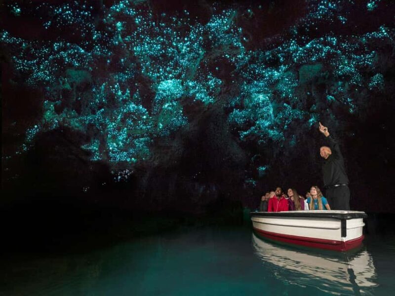 From Auckland: Waitomo Glowworm Cave Tour - Key Points