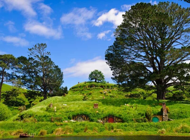 From Auckland: Waitomo & Hobbiton Bus Tour with Lunch - What to Expect on This Full-Day Adventure