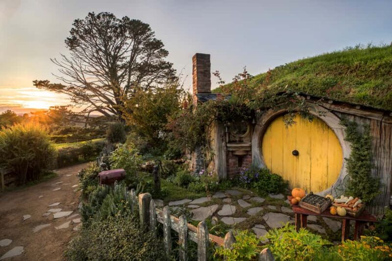 From Auckland: Waitomo & Hobbiton Bus Tour with Lunch - Why Travelers Love This Tour