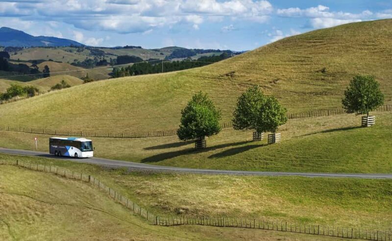 From Auckland: Waitomo & Hobbiton Bus Tour with Lunch - Practical Tips for Booking and Enjoying