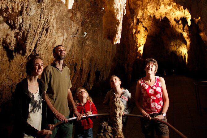 From Auckland:Hobbiton Movie Set & Waitomo Caves Small Group Tour - Key Points