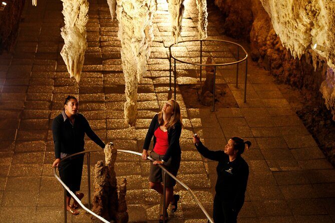 From Auckland:Hobbiton Movie Set & Waitomo Caves Small Group Tour - Final Thoughts