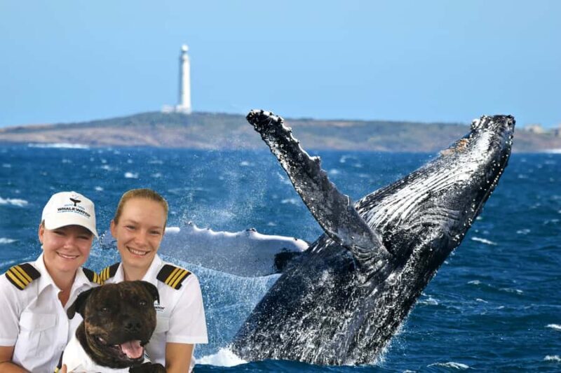 From Augusta: Whale Watching Award Winning Tour - Introduction