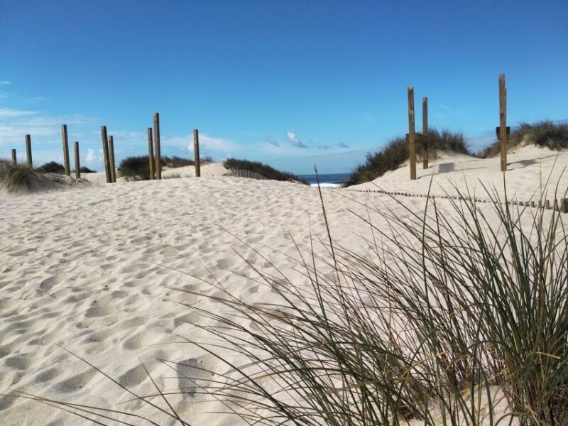 From Aveiro: Barra Beach Lighthouse & Costa Nova Guided Tour - The Experience, Transport, and Group Size