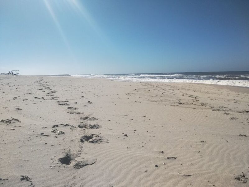 From Aveiro: Barra Beach Lighthouse & Costa Nova Guided Tour - Final Thoughts
