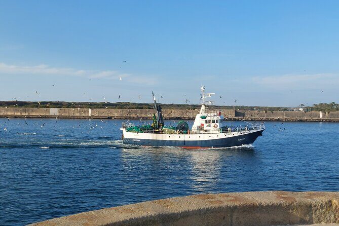 From Aveiro: Costa Nova, Barra, Vista Alegre - Half-Day Trip - What Travelers Are Saying