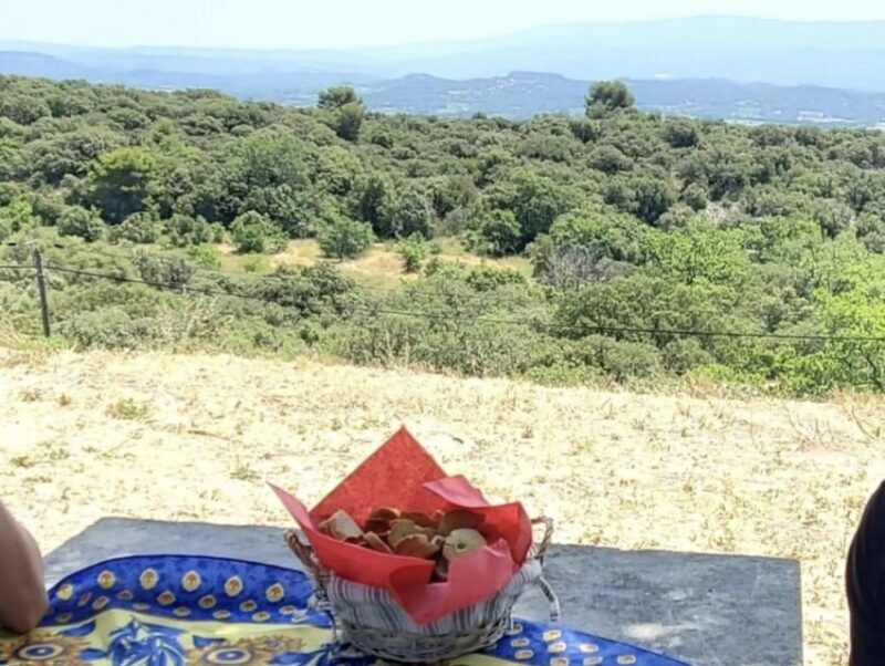 From Avignon: Arles, Les Baux de Provence & St Rémy - FAQ