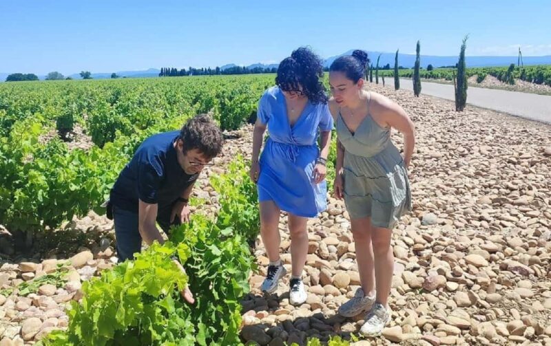 From Avignon: Châteauneuf du Pape Half-Day Wine Tour - Frequently Asked Questions