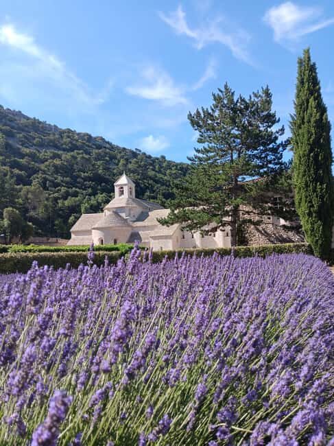 From Avignon: Lavender Villages Full-Day Tour - Authentic Experiences from Reviews