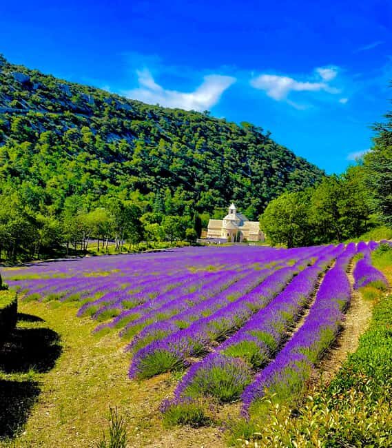 From Avignon: Provence Highlights Full-Day Tour - Fontaine de Vaucluse: The Biggest Spring in France