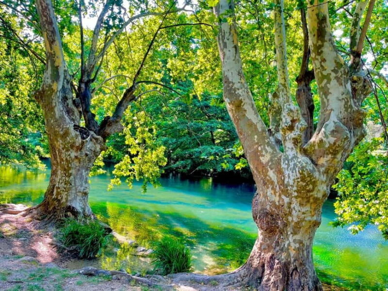 From Avignon: Provence Highlights Full-Day Tour - Saint Remy de Provence: Vincent van Gogh and Nostradamus