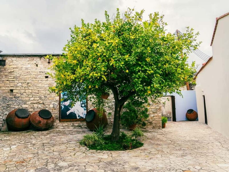 From Ayia Napa: Grand Tour Jeep Safari with Lunch - Final Thoughts