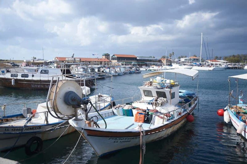 From Ayia Napa & Protaras: Kourion Tour and Paphos Town - Final Thoughts: Who Will Love This Tour?